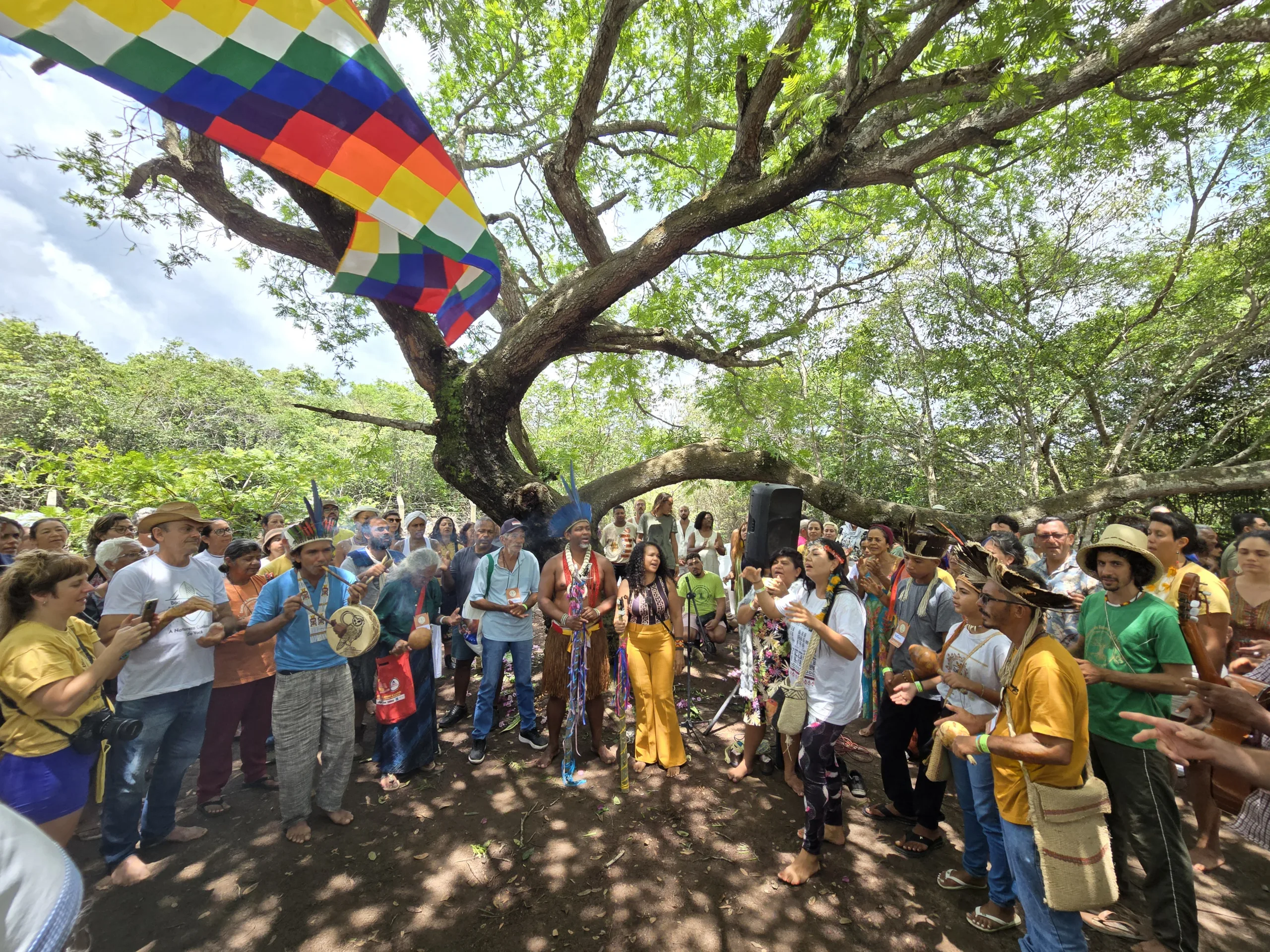 Saberes da Caatinga: há uma década encontro apoia da cura ancestral ao ...